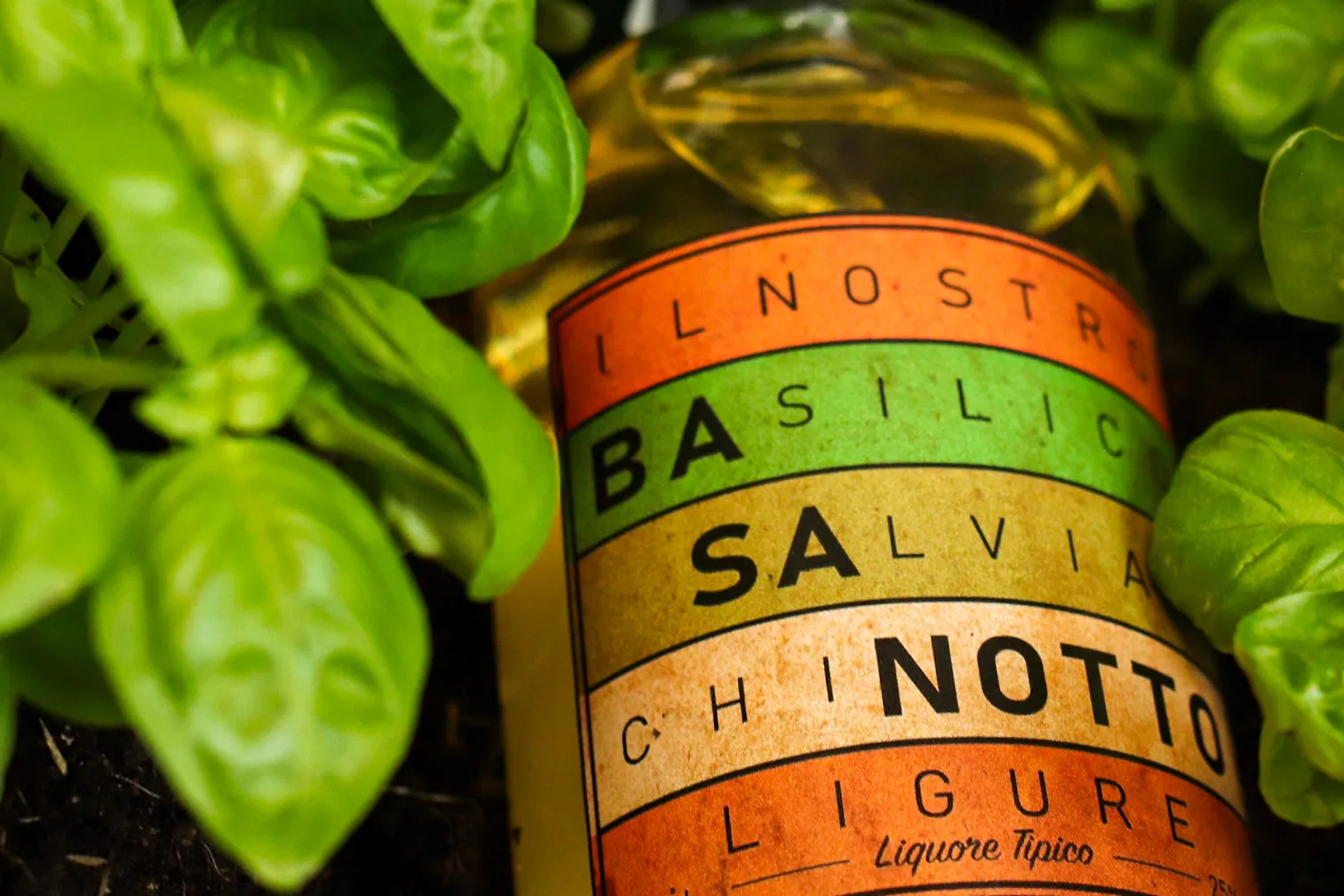 Basilico a Sofia, Bulgaria: Liquori Basanotto & Barzotto